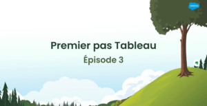 Secteur Public et Tableau